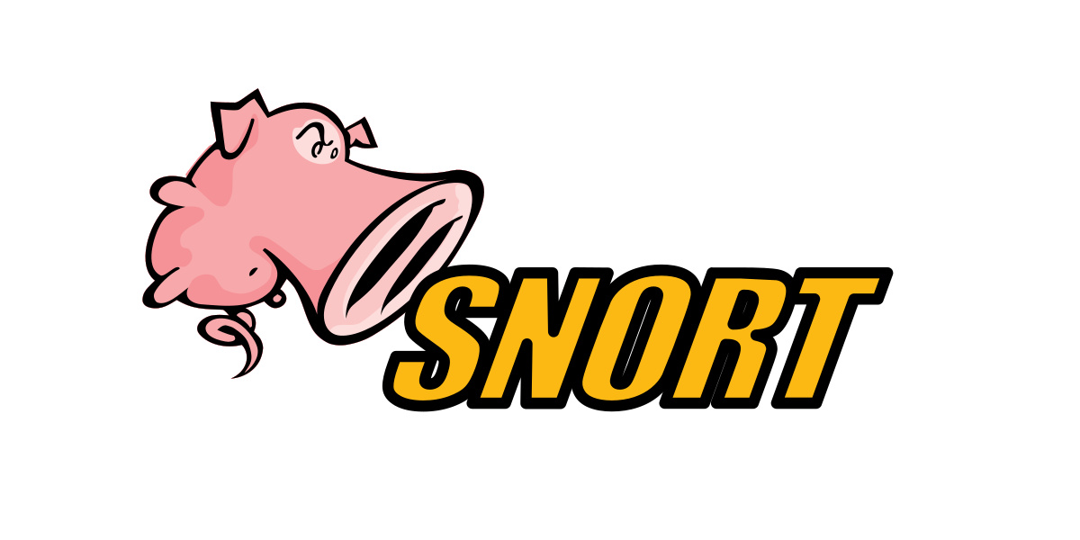 Introduction to Snort